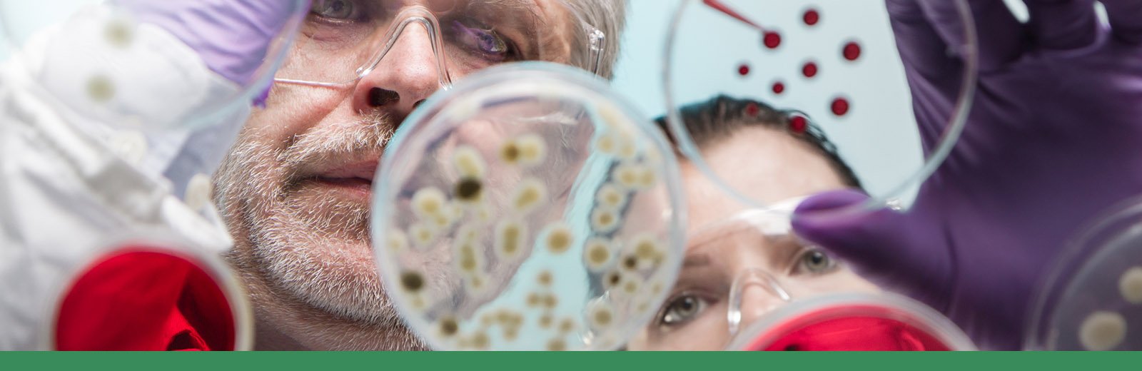 Controlbio - Controle de qualidade microbiológica